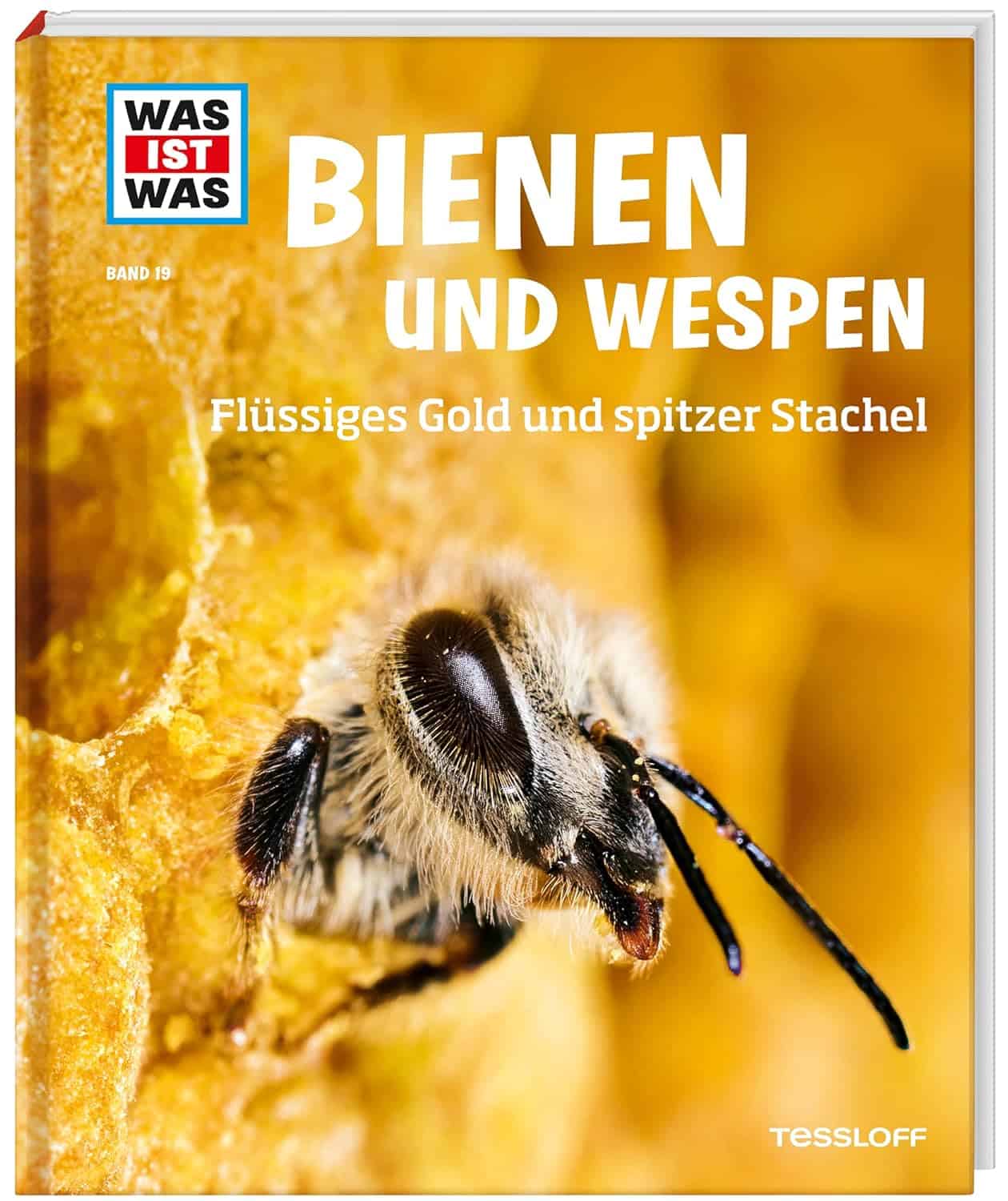 Unterschied: Biene & Wespe - Online-Biene.de